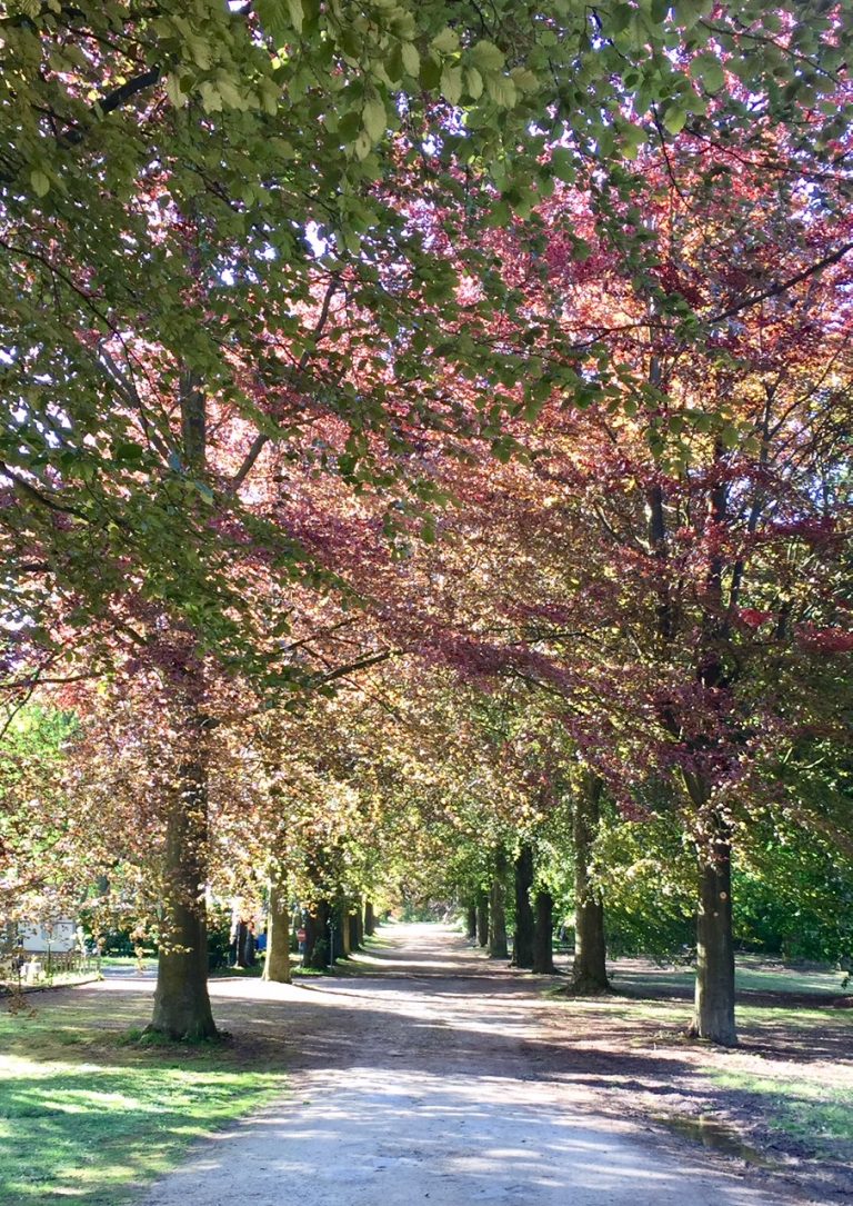 Gallery – Bergendal