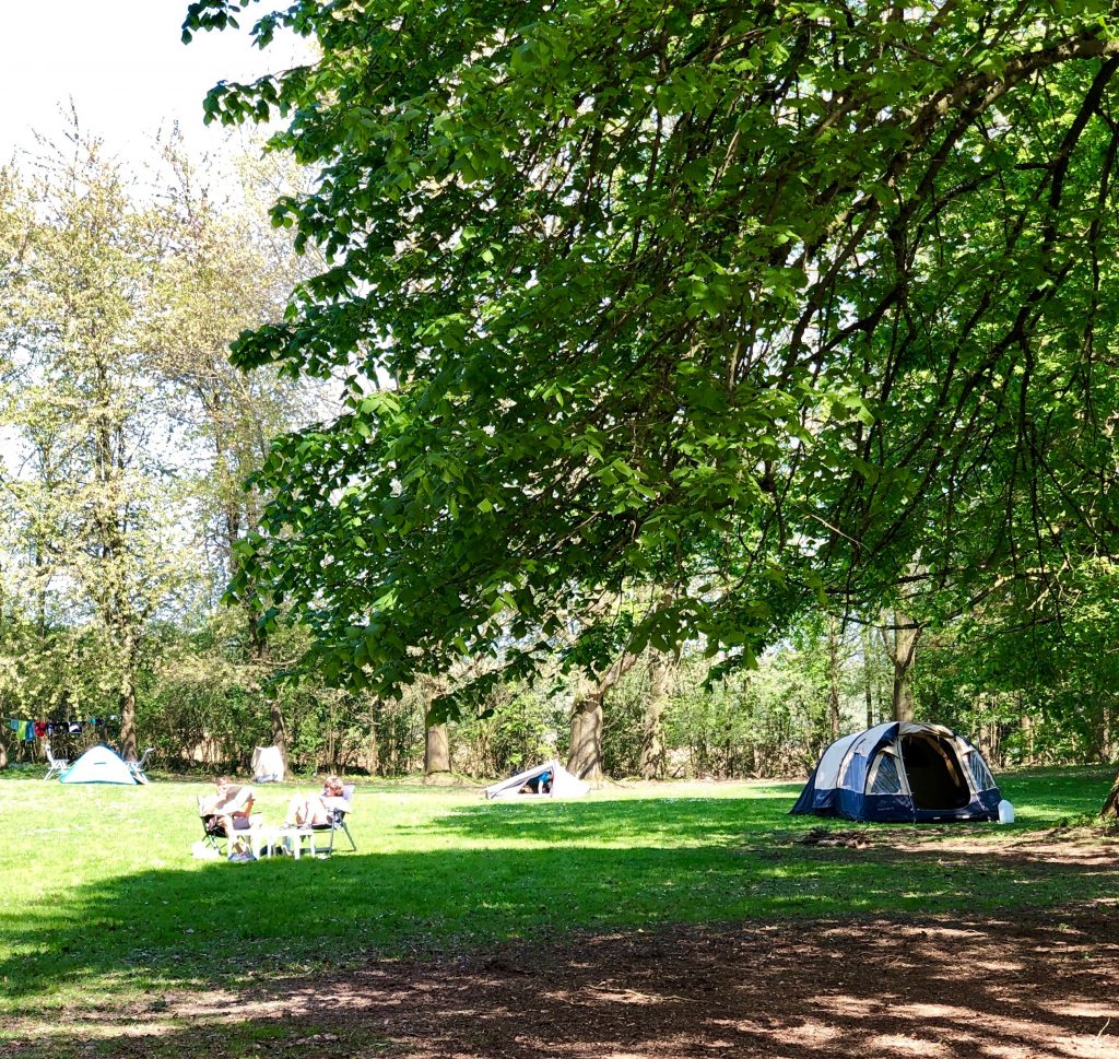 Gallery – Bergendal