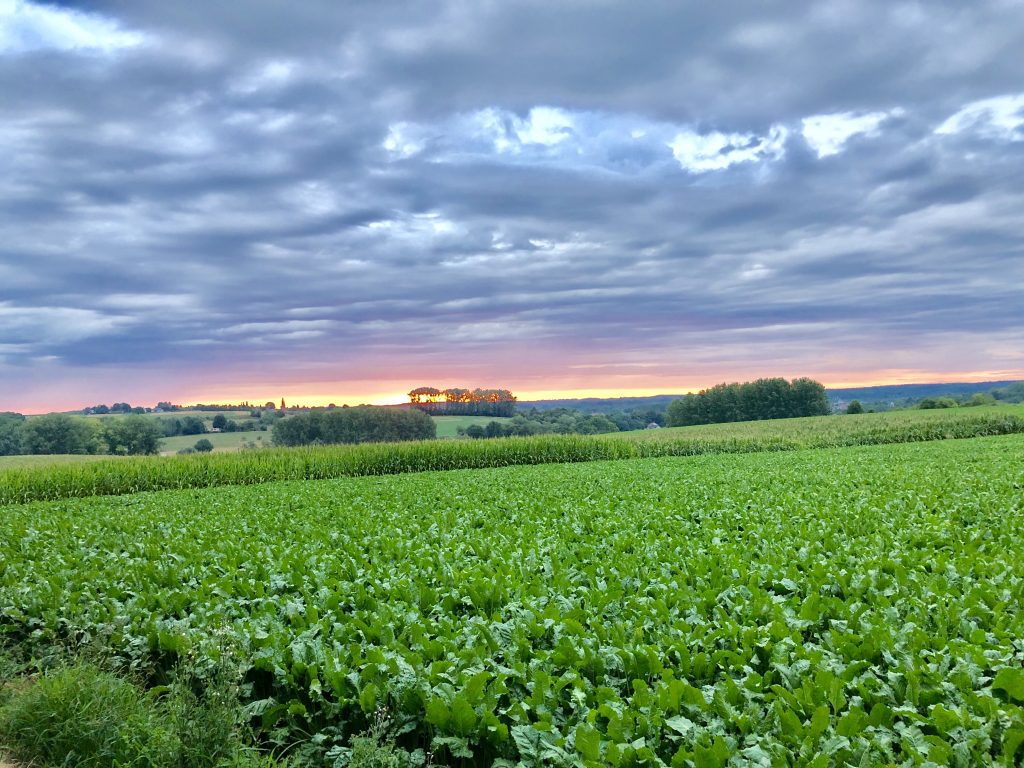 Gallery – Bergendal